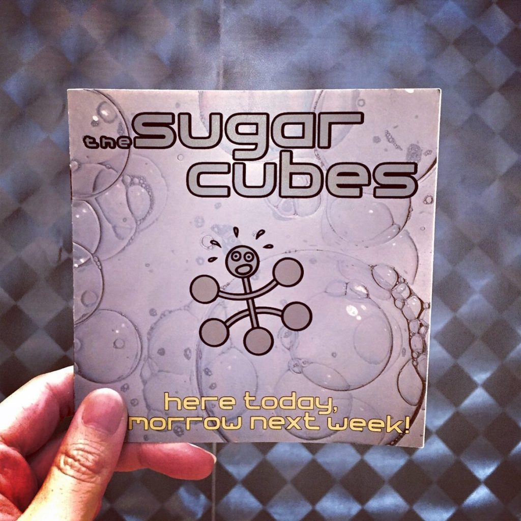 Here Today, Tomorrow Next Week! – auly mosquito